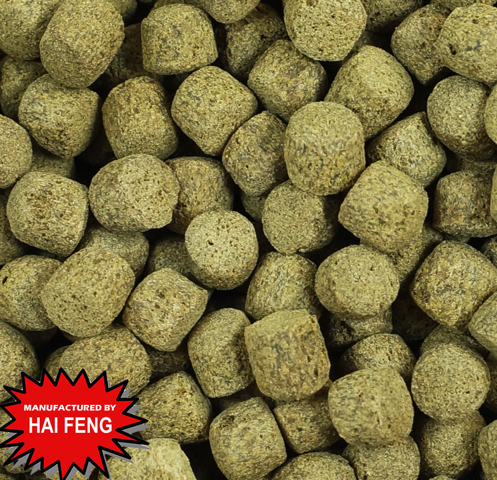 Premium Fast Color – Yume Koi and Gardens